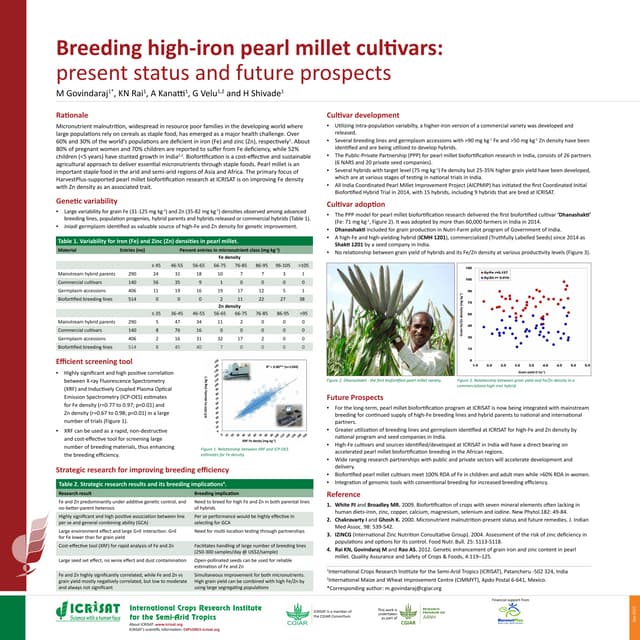 Breeding high iron pearl millet cultivars: present status and future ...