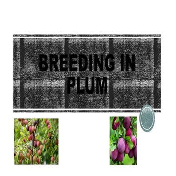 BREEDING OBJECTIVES AND METHODS IN PLUM.pptx
