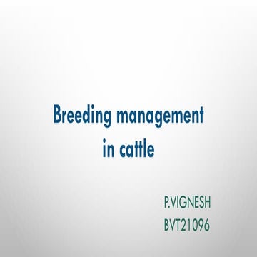 Cow breeding management of cattle 1.pptx