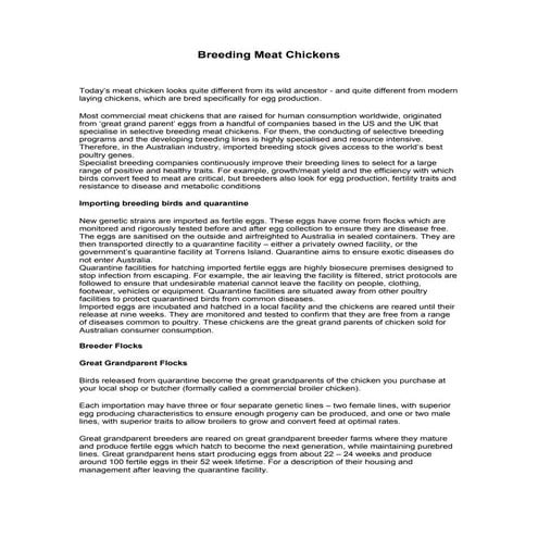 Breeding meat chickens | DOC