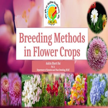 Breeding Methods in Flower Crops....pptx
