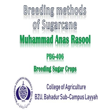 Breedingmethodsinsugarcanepdf 190512061759 Pptx