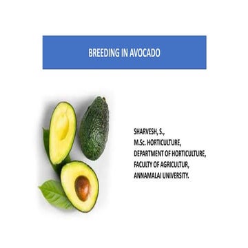 Maturity indices of fruits and vegetables | PPTX