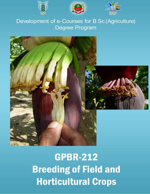 Rabi crop varieties ( release or recommended by IGKV) | DOCX ...