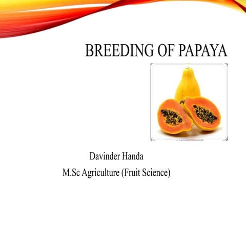 Breeding of papaya | PPTX