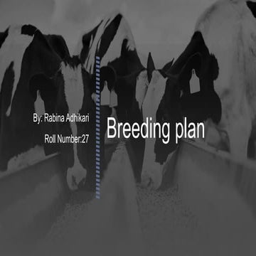Breeding plan.pptx