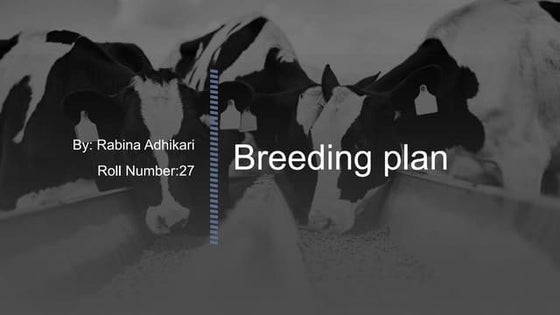 Nucleus breeding system | PPTX | Agriculture | Industries