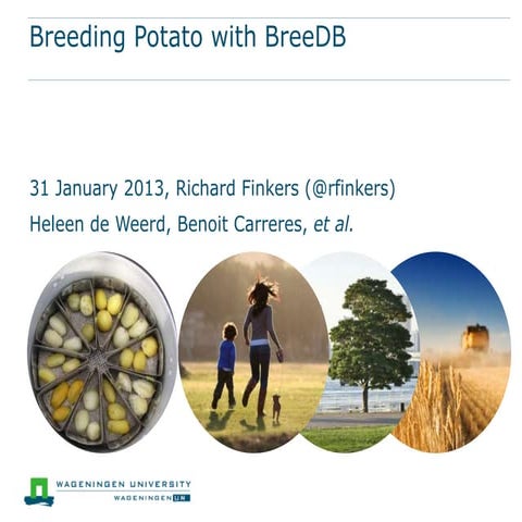 Breeding potato with BreeDB | PPTX | Genetics | Science