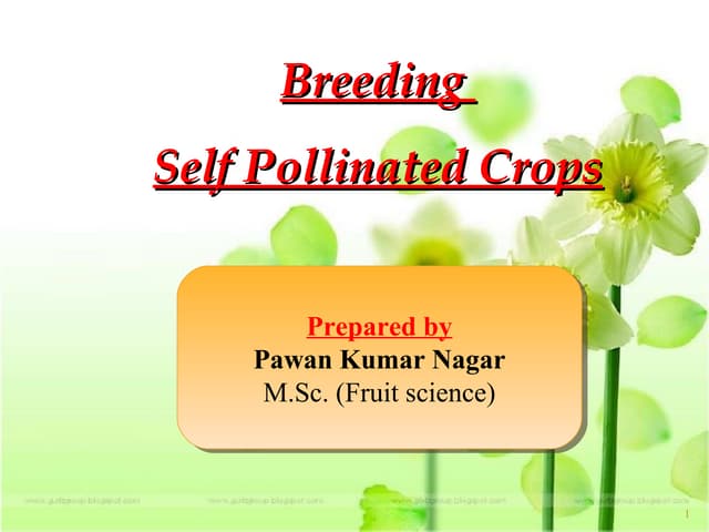 PEDIGREE METHOD OF PLANT BREEDING | PPTX