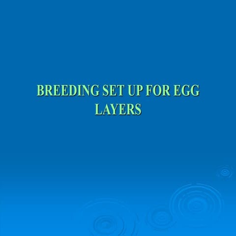 breeding_setup_of_egg_layers in which _-_12.ppt