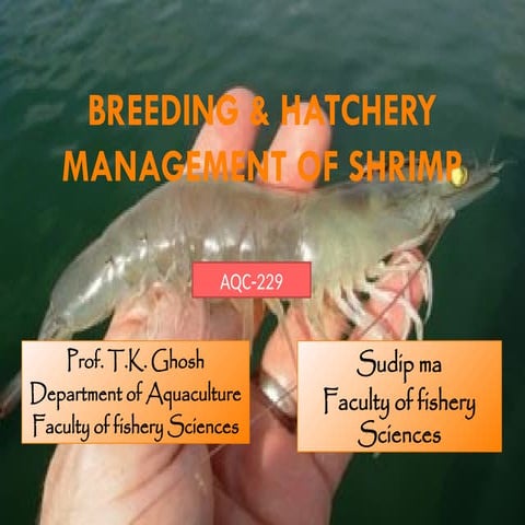 Reproductive biology and life cycle of crabs | PPT
