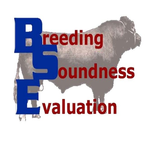 INDIAN HORSE BREEDS, INDIAN PONY BREEDS, HORSES, PONIES | PPTX