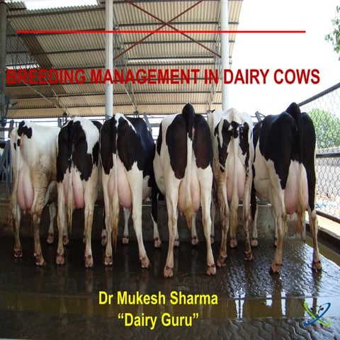 Breeding Strategies During Breeding Season.pdf