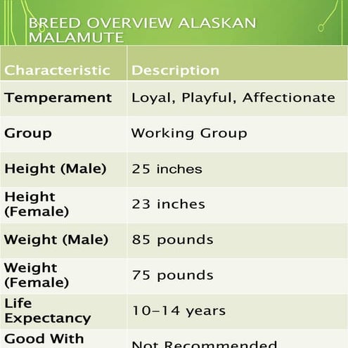 Breed Overview Alaskan Malamute.pptx