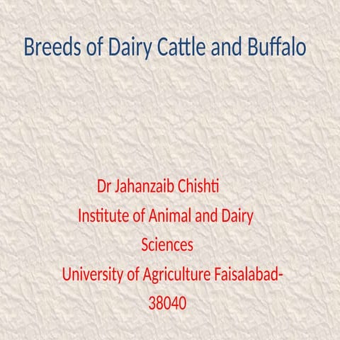 Buffalo breeds of india | PPTX