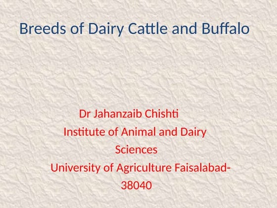 BREEDS OF SWINE | PPT