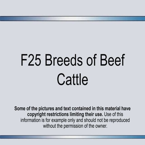 Breeds of cattle PowerPoint.ppt