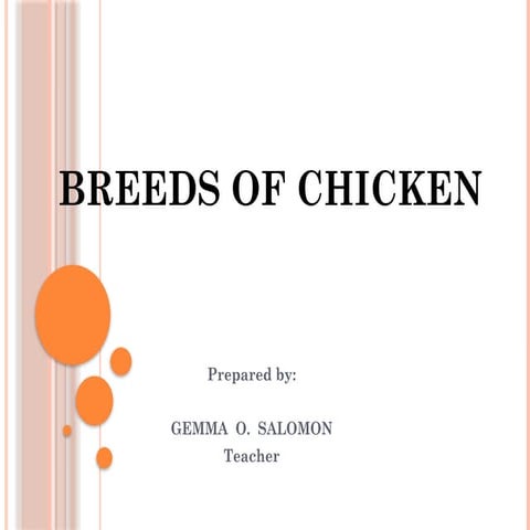 Breeds Of Chicken Common In Philippines Ppt Pptx