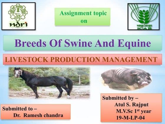 Swine production | PPTX | Agriculture | Industries