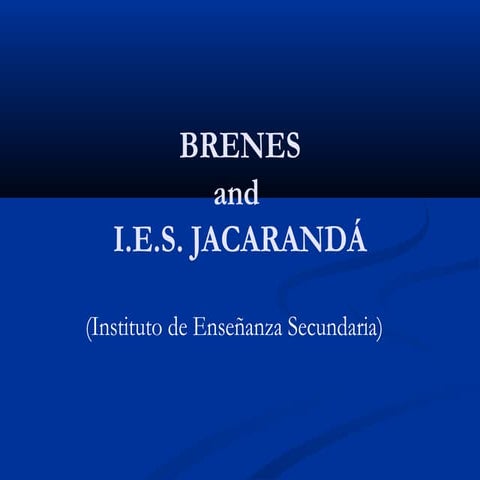 Brenes presentation | PPT