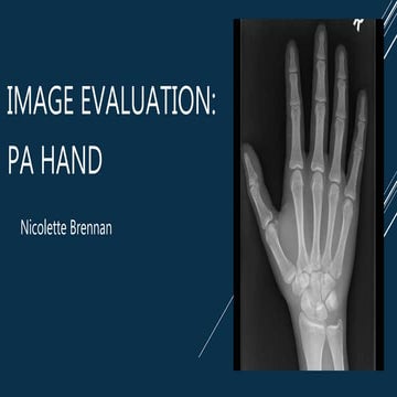 Final Image Evaluation | PPTX