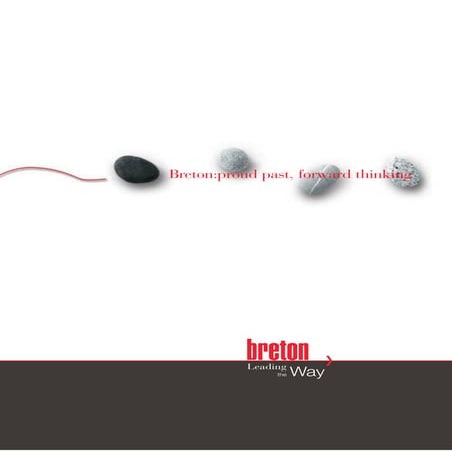Breton Company Profile | PDF