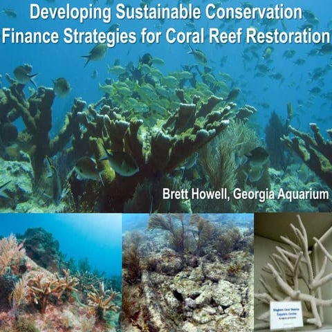 Developing Sustainable Conservation Finance Strategies for Coral Reef ...