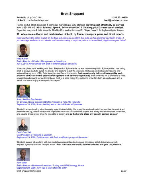 Sample Google Paid campaign results | PPT