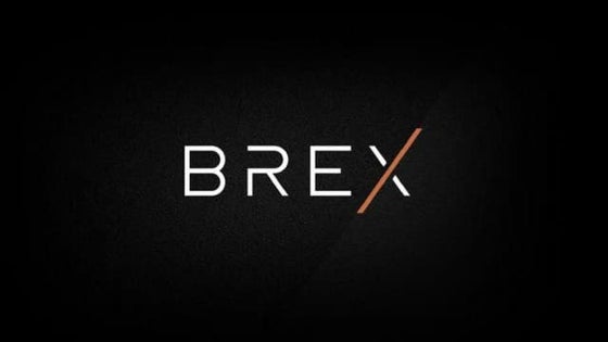 LanguageLine Solutions Enterprise Brochure | PDF