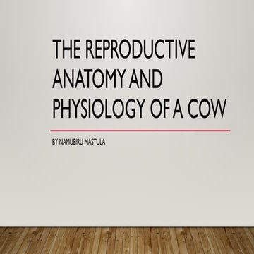 Estrus Cycle and Ovulation in cattle | PPTX