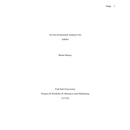 Brian Haney STEEPLE Assignment.pdf | Photo Editing Software | Computer Software and Applications