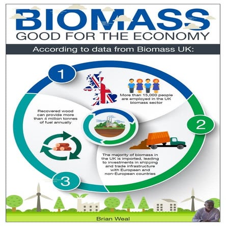 Biomass: Good for the Economy | PDF | Economy | Business and Finance