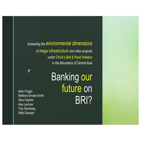 Banking our Future on China's Belt & Road Initiative (BRI) | PDF