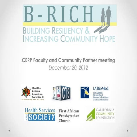 B-RICH: Building Resiliency & Increasing Community Hope | PPT