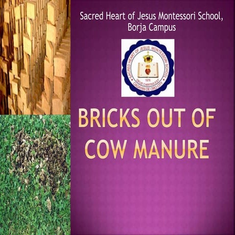 Bricks Out of Cow Manure | PPTX