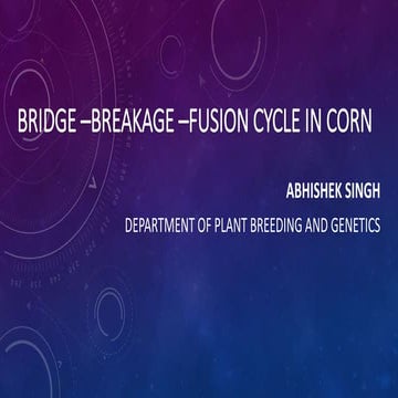BRIDGE –BREAKAGE –FUSION CYCLE IN CORN.pptx