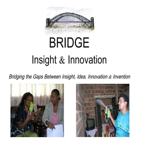 Bridge - Consumer Insights and Practical Innovation | PPTX