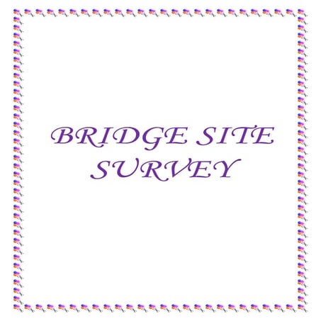 Bridge site survey 01 | DOCX