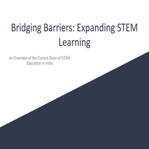 Bridging Barriers and Expanding STEM Learning | PDF