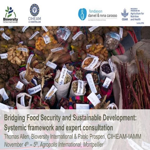 Catalysing the Sustainable and Inclusive Transformation of Food Systems ...