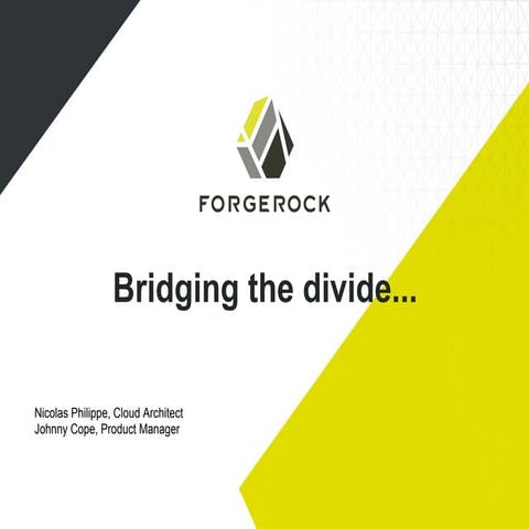 Bridging the Divide | PDF | Computer Software and Applications | Computing
