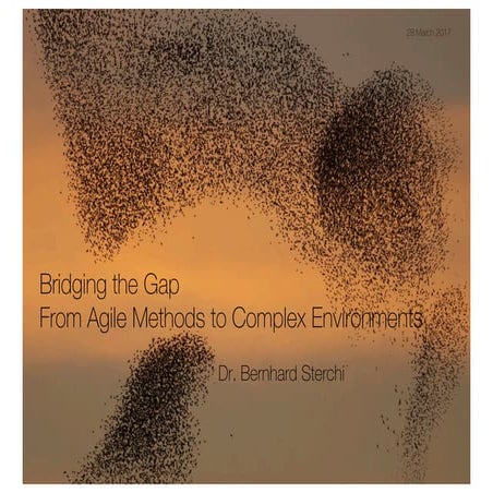 Bridging the gap. from agile methods to complex environments | PDF ...