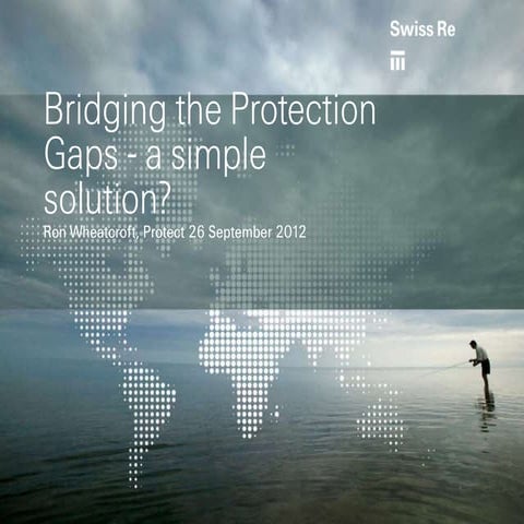 Bridging The Protection Gaps A Simple Solution Rw Protect 260912 | PPT