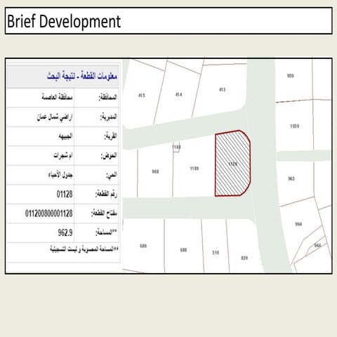 Brief development | PPTX