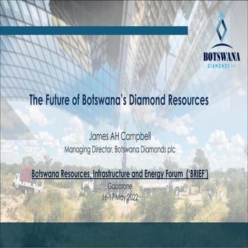 The Future of Botswana's Diamond Resources | PDF