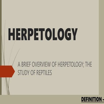 BRIEF HERPETOLOGY REVIEW.pptx