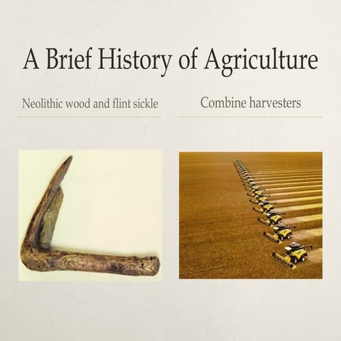 rief_history_of_agriculture.brief_history_of_agriculture.pptx