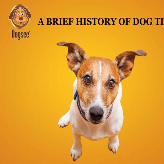 Brief History of Dog Time | PPTX