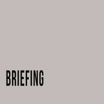 Briefing de marca para manuales de identidad.pdf