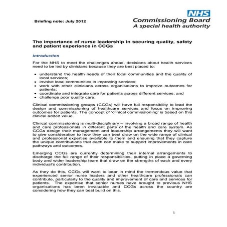Briefing nurse | PDF